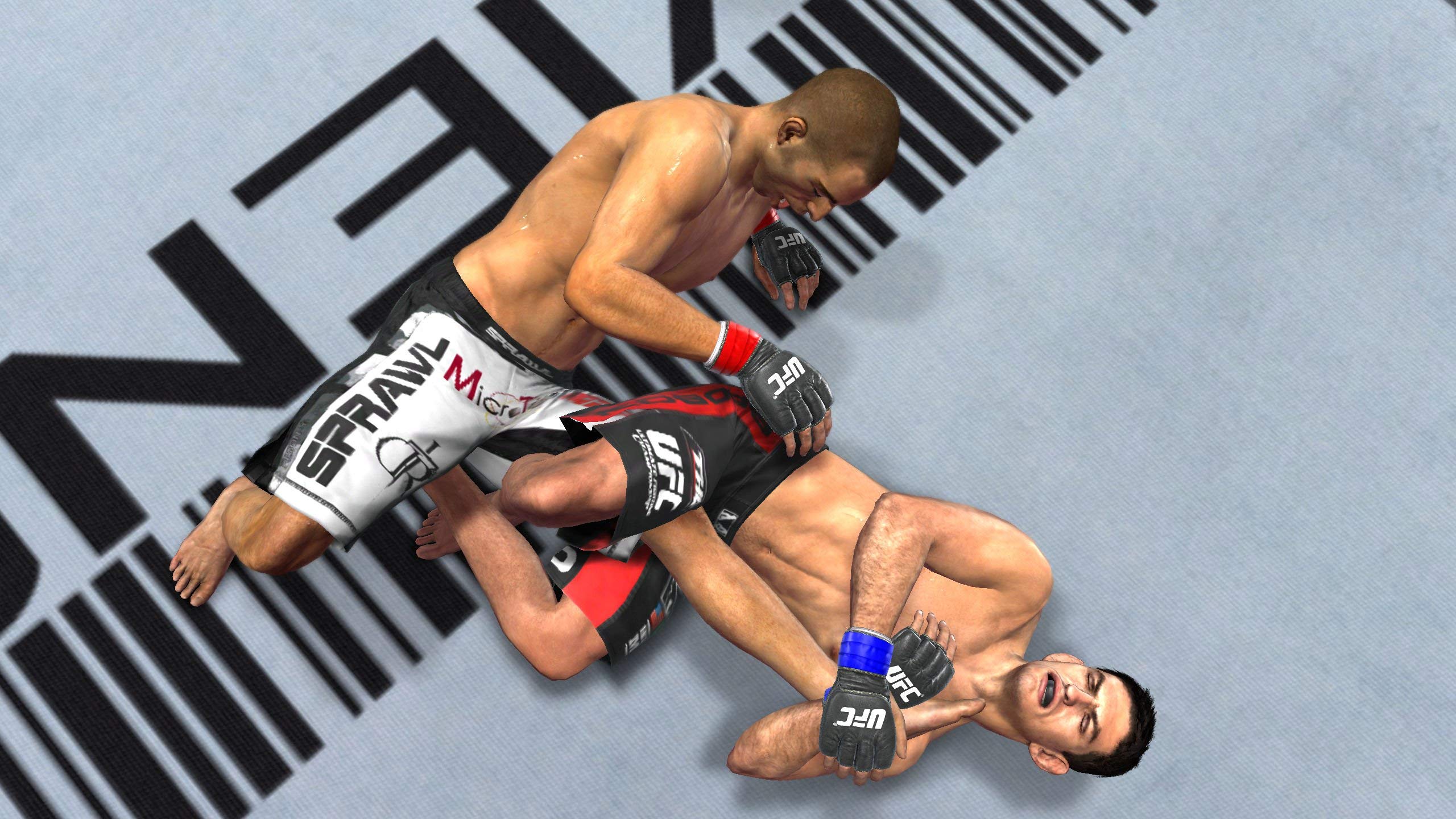 UFC Undisputed 2010 - Playstation 3 (Renewed)