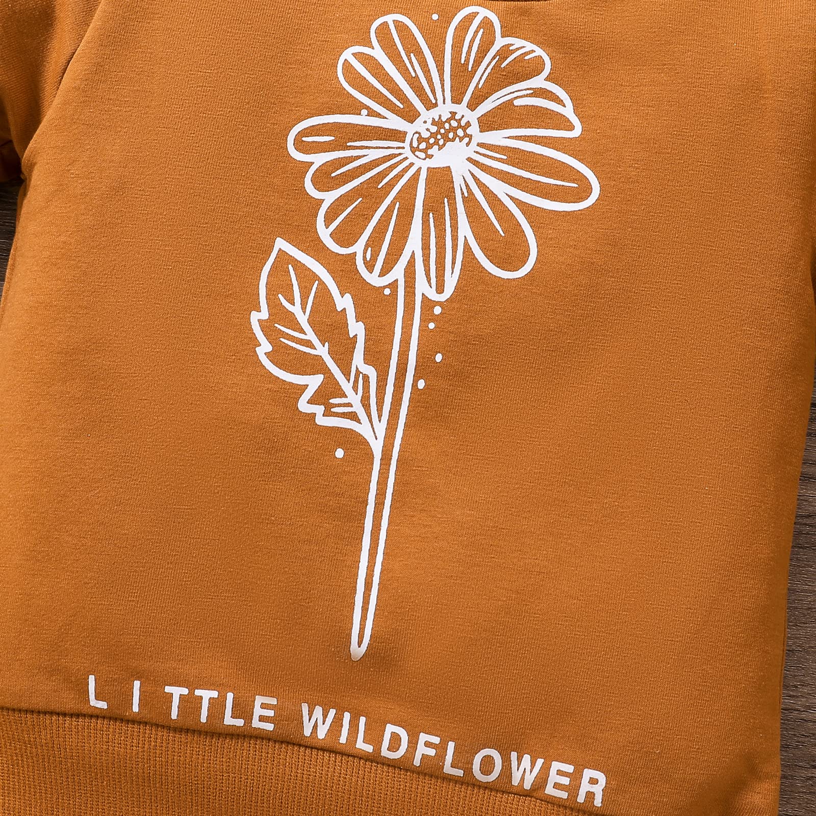 Infant Baby Girl Fall Winter Outfits Long Sleeve Sweatshirt Flower Print Pullover Top+ Elastic Waist Pants 2Pcs Set (Brown-Wildflower, 6-12 Months)