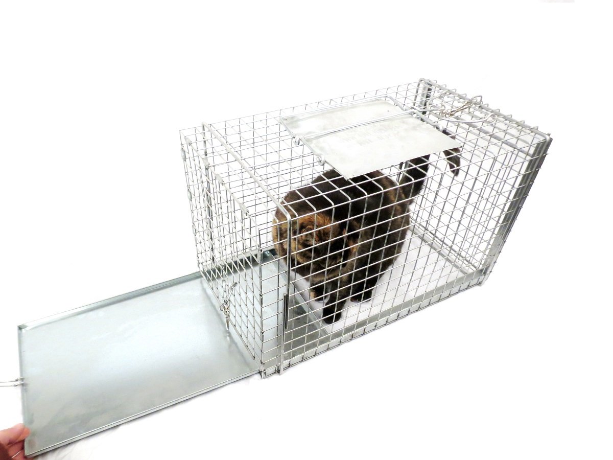 Model 306TX Set Over Capture CAGE for Cats