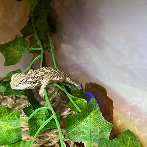 MUYG 4 PCS Bearded Dragon Hammock, Lizard Lounger Reptile Natural Seagrass Hammocks Climb Vines Plant Decoration Terrarium Accessories for Lizards Chameleon Gecko Snakes Crown Geckos