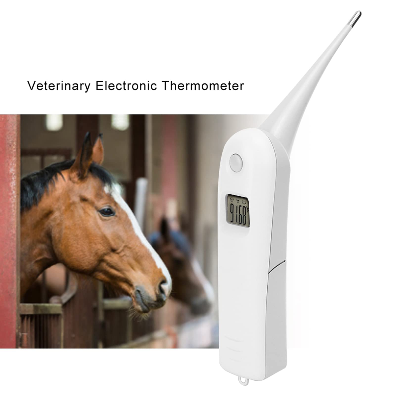 Pet Thermometer Digital Veterinary Electronic Thermometer Temperature Tester for Livestock Pigs Cattle Sheep Cats Dogs
