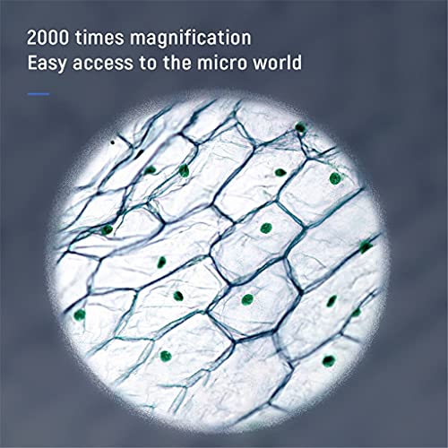 LXXSH 2000x WiFi Dual Lens Electronics Digital Microscope USB Phone PC Video Microscope for Microbial Observation