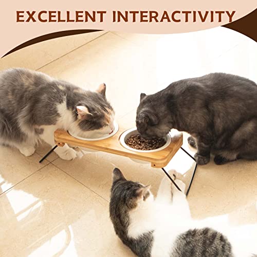 PLUROOF Ceramic Elevated 15°Tilted Cat Bowls, Food and Water Feeding Dishes Bowls, Non-Slip Metal Frame Stand Feeder for Small Size Dogs