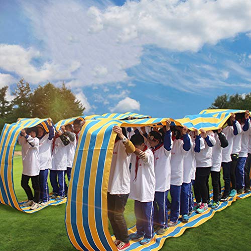Fowecelt Indoor Outdoor Teamwork Carnival Games for Adults Kids Family Field Day Backyard Birthday Party Games - Fun Group Activity Playing Run Mat