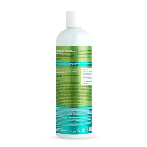 ORS Olive Oil Max Moisture Leave-In Conditioner with Rice Water and Electrolytes for Supercharged Hair Hydration 16.0 Ounce (1)