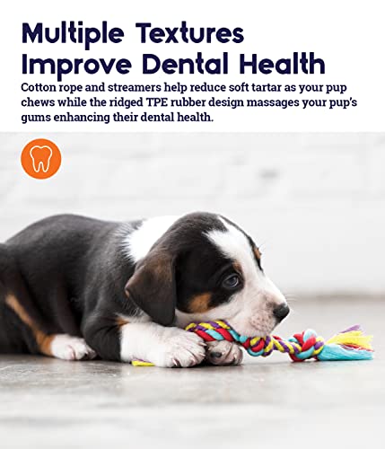 Petstages Orka Mini Dental Dog Chew Toys - 3 Pack