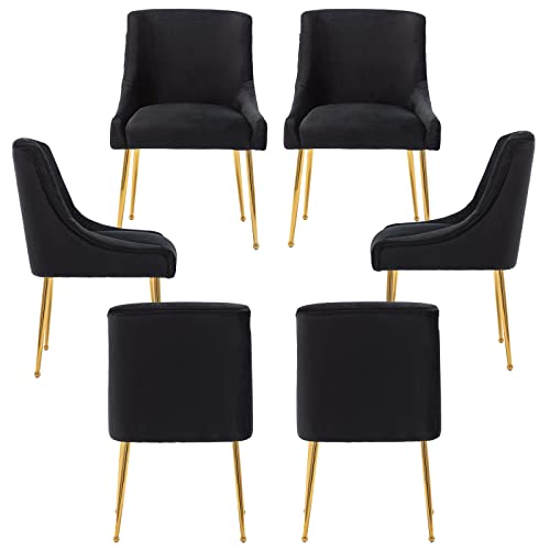 ZHENGHAO Black Dining Chairs Set of 6, Upholstered Dining Room Chairs with Gold Legs Modern Velvet Accent Chairs for Black pc 6pc