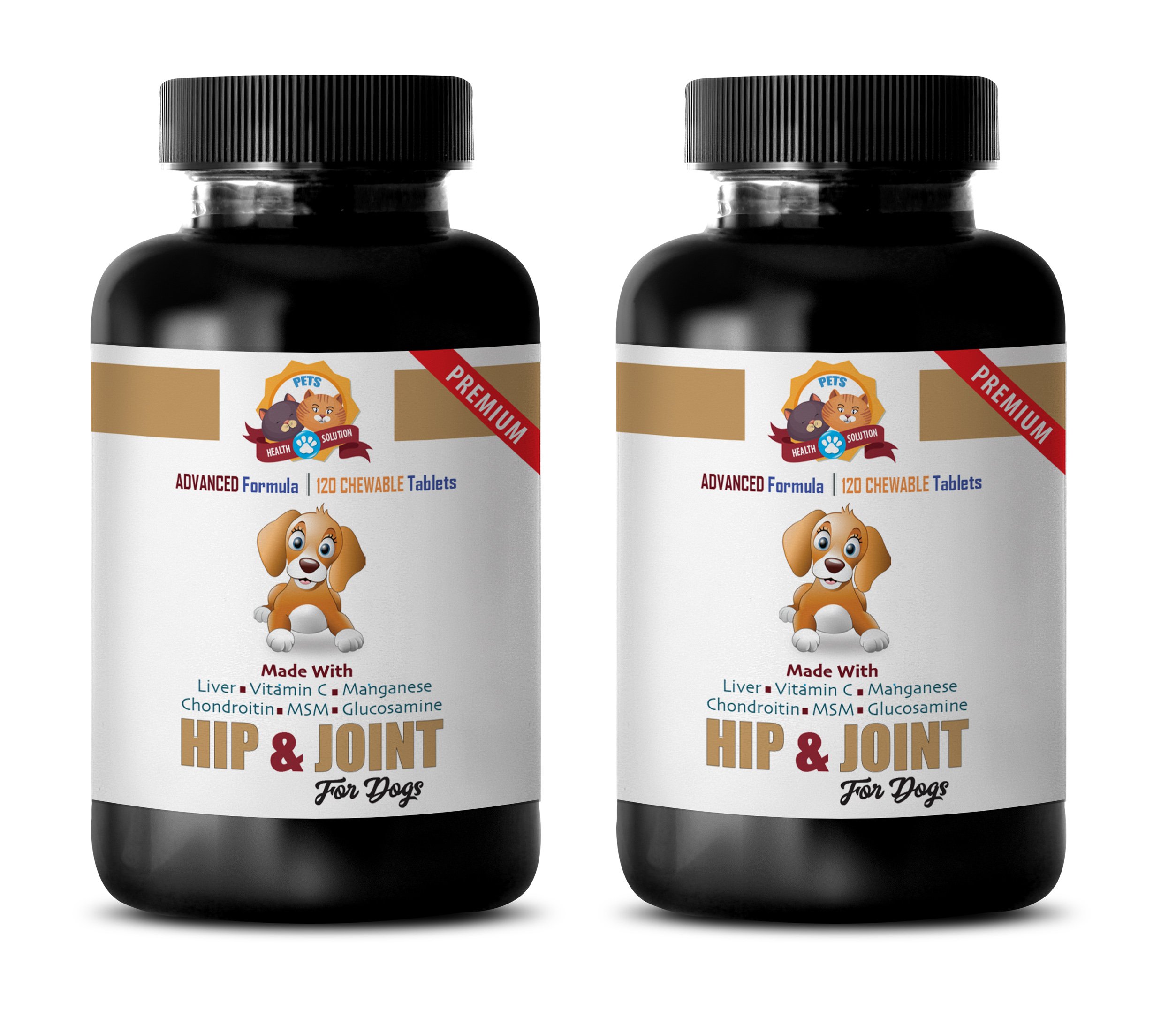 PETS HEALTH SOLUTION Hip and Joint Supplements for Senior Dogs - Dog Hip and Joint Support - Premium Formula - Dog Bites Healthy - Dog chondroitin and glucosamine Combination - 2 Bottle (240 Chews)