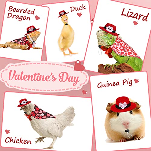 JOTFA 4 Pcs Bearded Dragon Valentine’s Day Costumes, Lizard Valentine’s Day Hats Bandanas Lizard Scarf Valentines Outfits for Bearded Dragon Lizard Hamster Guinea Pig Small Animal