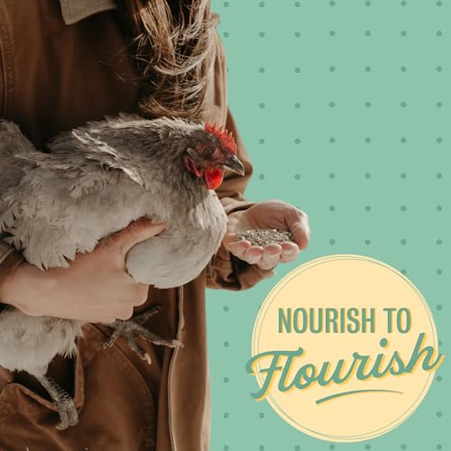 Scratch and Peck Feeds Organic Layer Pellets 16% - Premium Chicken and Duck Feed Formulated with Sustainable Grub Protein, Vitamins, and Minerals β 25 lbs