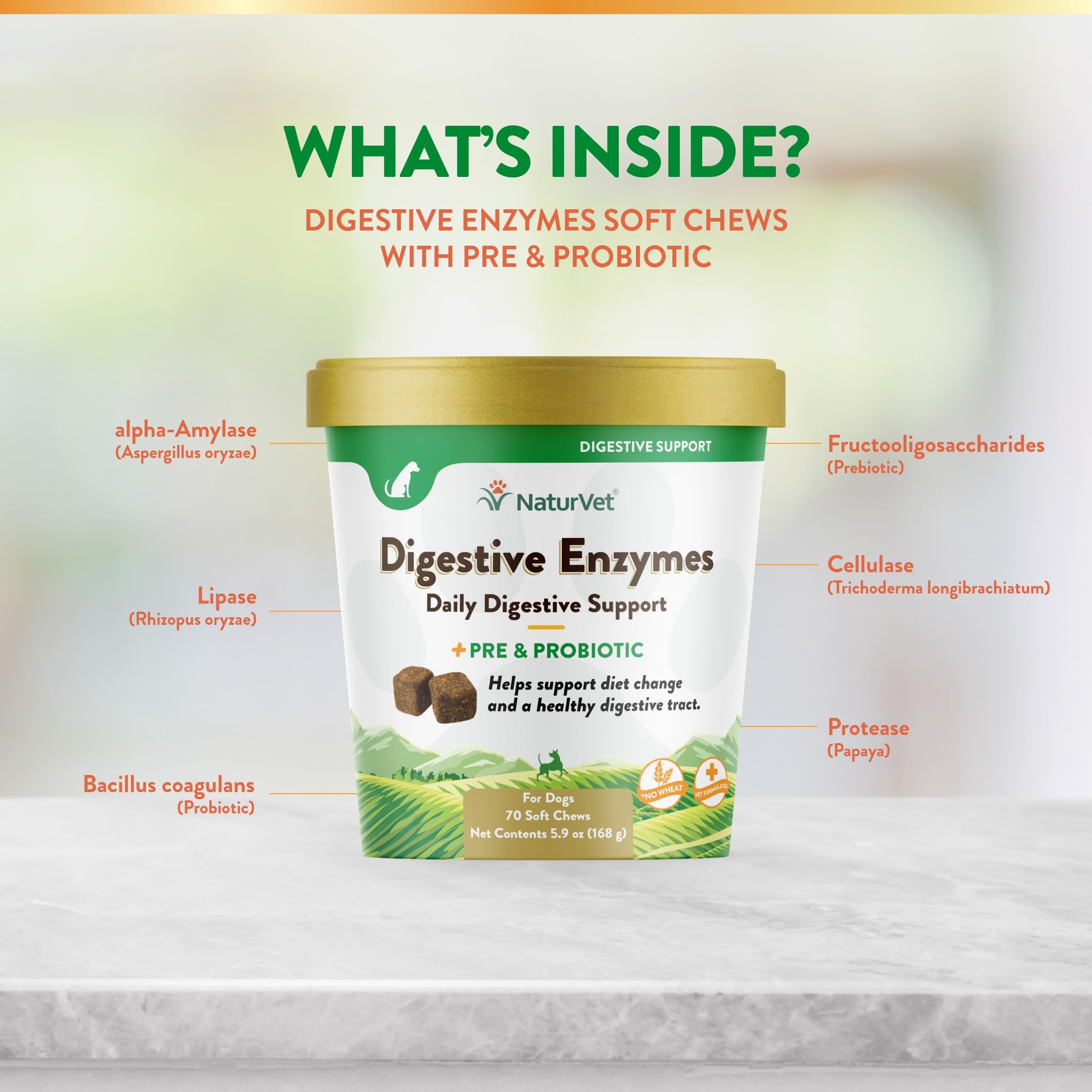 NaturVet Advanced Probiotics and Enzymes Supplement Digestive Enzymes - Plus Probiotics & Prebiotics Soft Chews, 70 Count Made in The USA with Globally Source Ingredients 70 Soft Chews