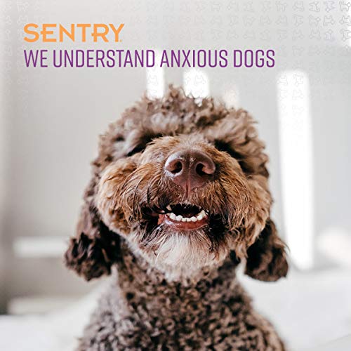 SENTRY PET Care Sentry Calming Chews for Dogs, Calming Aid Proven to Reduce Stress and Anxiety, Pheromones Prevent Unwanted Behaviors Including Barking, Jumping, and Separation Anxiety, 60 Count