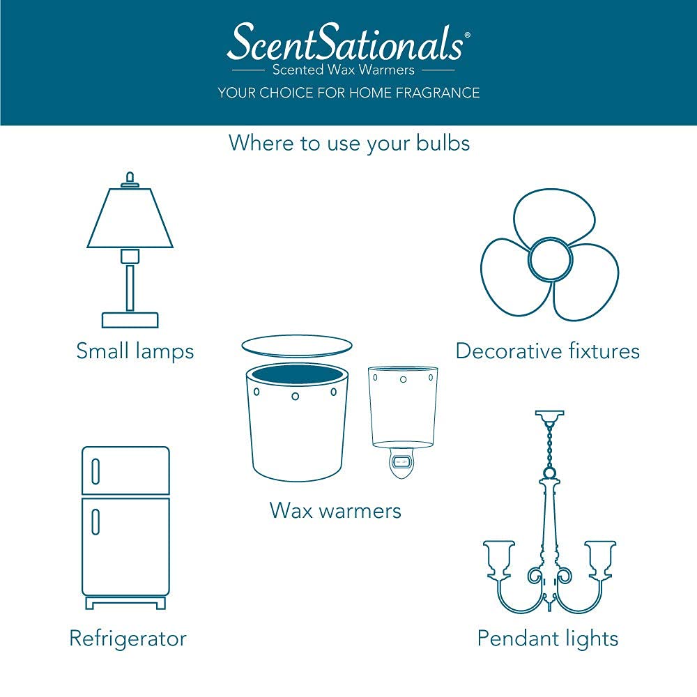 Scentsationals 40w Bulb for Edison Wax Warmer Single Unit - 40 Watt Light Candelabra E12 Base - Retro Vintage Replacement Electric Plug-in Wax Melter, Certified Style ST38 120 Volt (1 Pack)