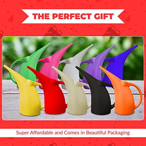 KP KOOL PRODUCTS Watering Can 1/2 Gallon - Small Watering Can for Indoor Plants - Outdoor Watering Can - Black Plant Waterer - Plastic Watering Can for Garden - 1 Pack