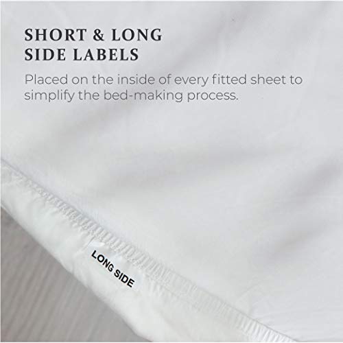 Everspread 1000 Thread Count Cotton Bed Sheets (4 Piece Sheet Set) - Queen Size, Light Gray. 100% Natural Long Staple Cotton Bedding, Luxury Sateen Weave. Fits Mattress up to 18 inches