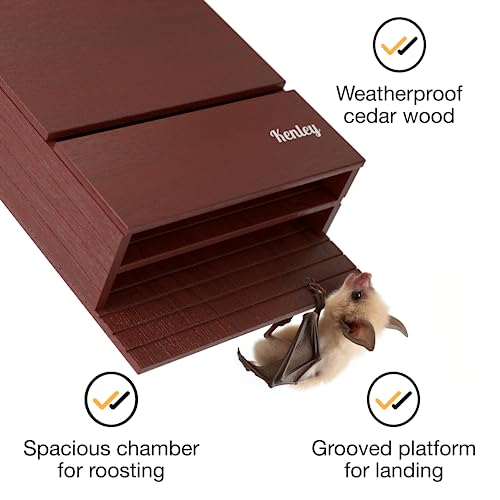 Kenley Bat House - Large Bat Box for Outside with Double Chamber - Handmade from Cedar Wood - Weather Resistant Bat Houses for Outdoors - Roosting Bat Boxes Designed to Attract Bats - Easy to Install