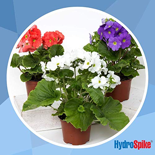 HydroSpike HS-300 (3-Pack) Worry-Free Automatic Plant Watering Devices Kit. Self Auto Waterer Spikes, Bulbs, Stakes Irrigation System for Indoor House Plants, Vacation. No Glass Globe Bottle, Jug, Can