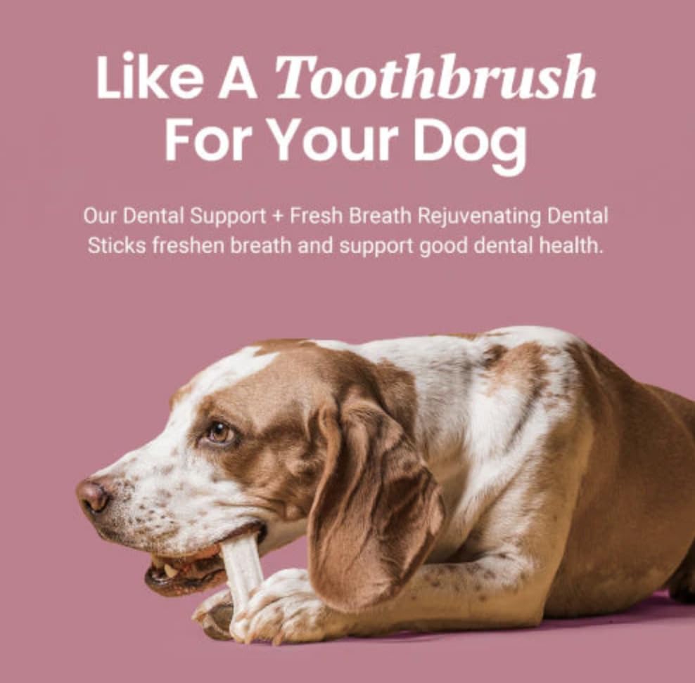 HolistaPet Mint Flavored Dental Chew Sticks, Keep Your pup's Teeth Looking Clean and Smelling Fresh, Intended As A Treat (Mint)