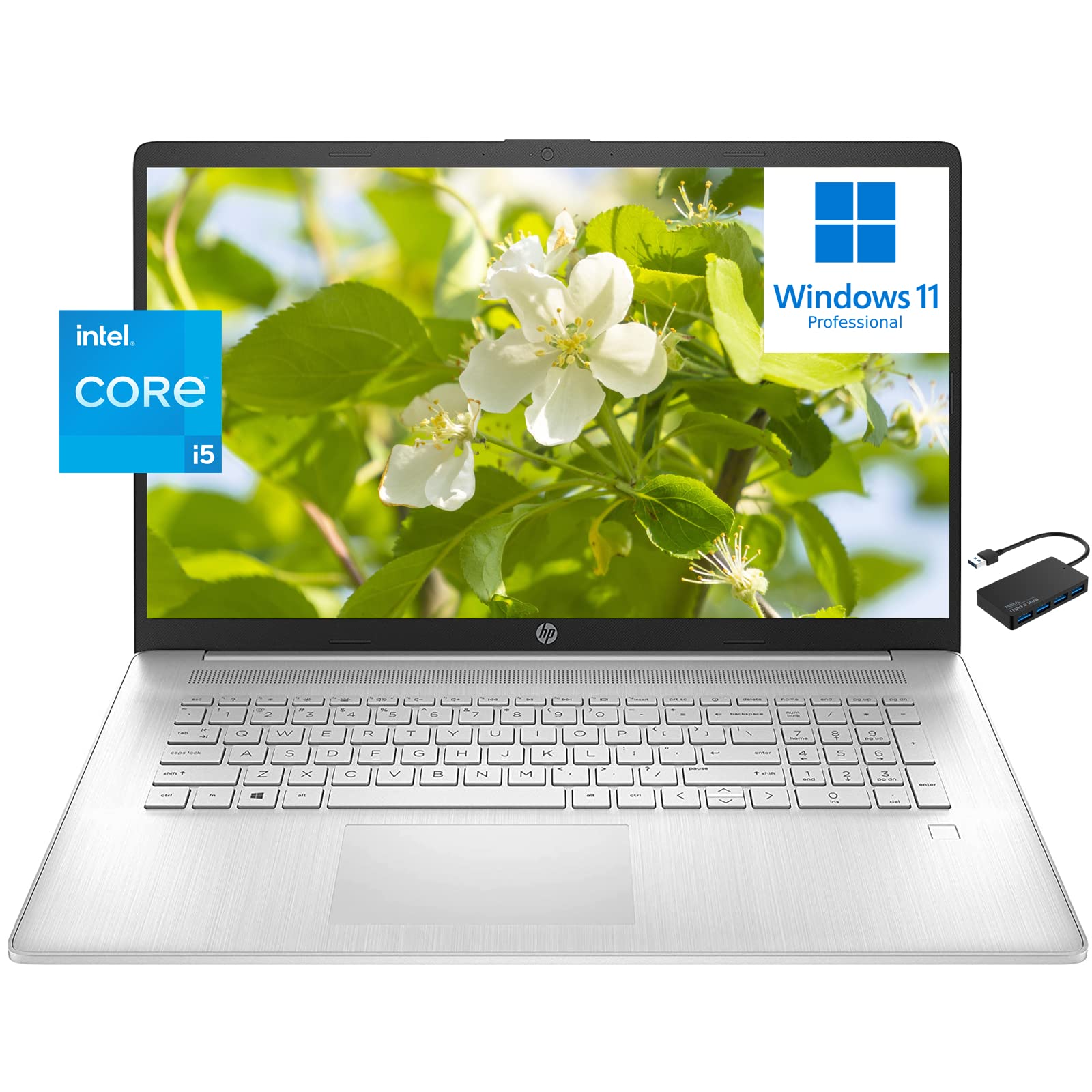 HP [Windows 11 Pro] 17 17.3" FHD Business Laptop, 11th Gen Quad-Core i5-1135G7 (Up to 4.2 GHz), 32GB RAM, 1TB PCIe SSD, Intel Iris Xe Graphics, Backlit Keyboard, Wi-Fi 5, Bluetooth 4.2, HDMI, w/Hub