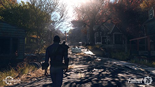 Fallout 76 (PS4)