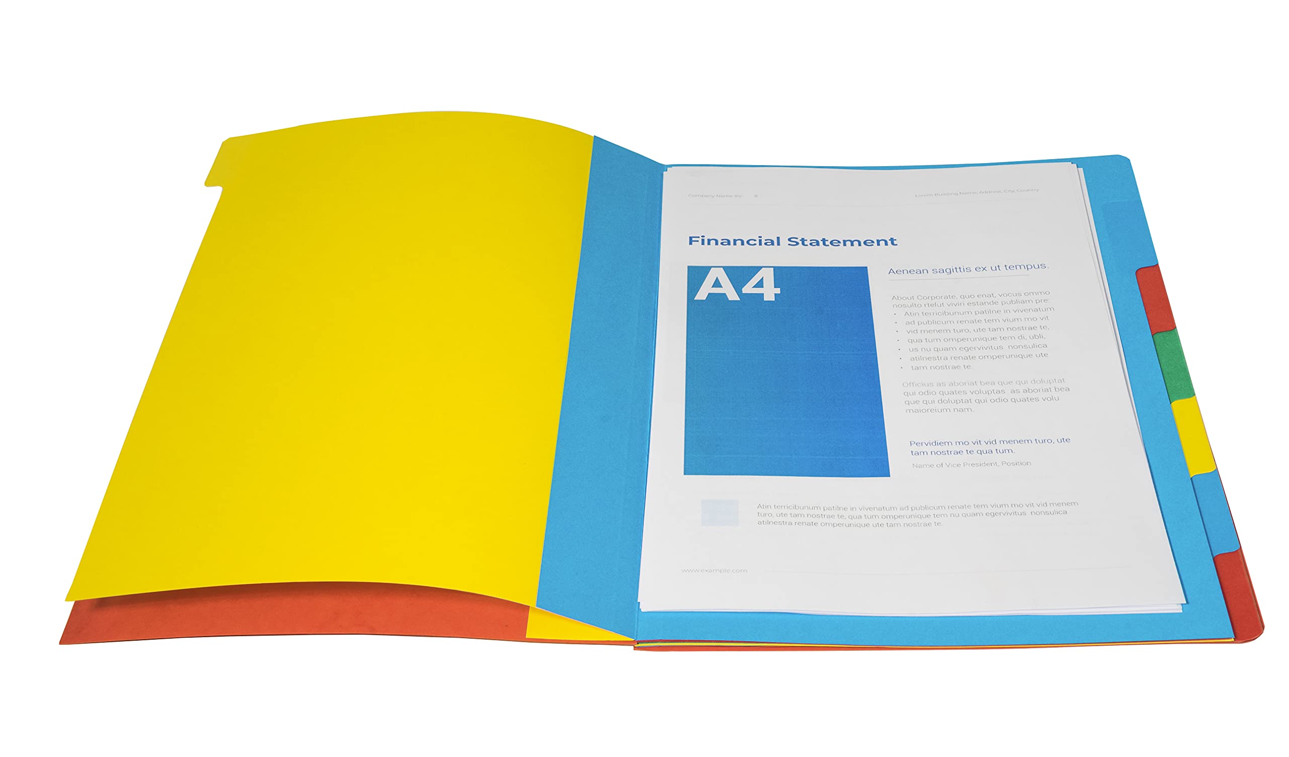 Exacompta - Ref 55122E - Harmonika Multipart File - 24.5 x 32cm in Size, Suitable for A4 Documents, 12 Multi-Coloured Tabbed Sections, Premium Pressboard Cover - Blue Cover