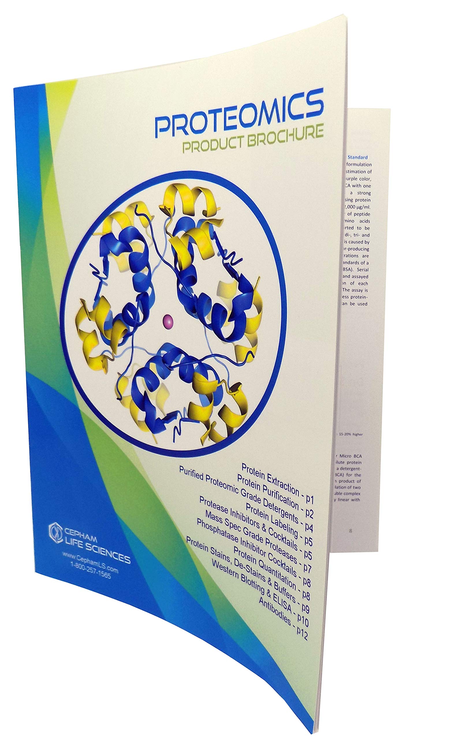 Ponceau S Staining Solution - 500 mL -from Cepham Life Sciences
