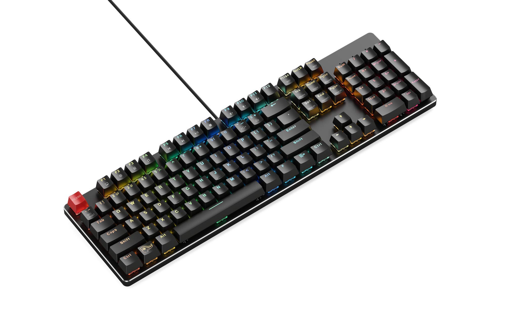 Glorious PC Gaming Race (Keyboard + Switch) Glorious Modular Mechanical Gaming Keyboard - Full Size GMMK (104 Key) Keyboard Switch Sample Pack (Bundle)