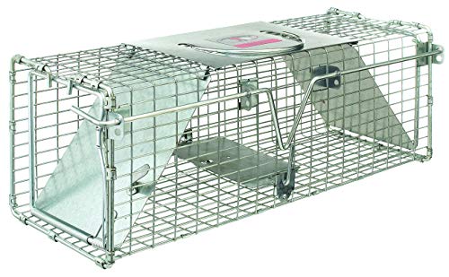 Little GiantÂŽ Double Door Live Trap | Animal Traps | Double Door Entry | 18.75 x 7 x 6.5