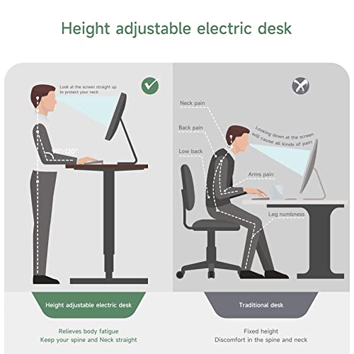 Dripex Adjustable Electric Standing Desk, 55 inch, Grey Brown