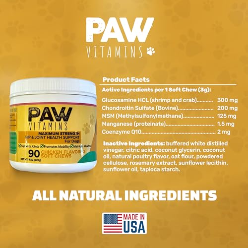 Premium Glucosamine for Dogs (Made in The USA) - Hip & Joint Health Soft Chews with Chondroitin & MSM - Functional Dog Supplement for Mobility Support with Kelp + Vitamins C and E - 90 Count