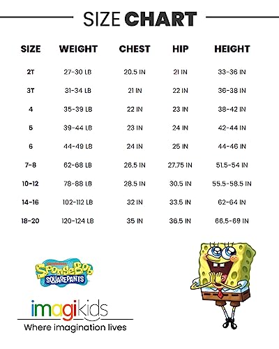 SpongeBob SquarePants Little Boys Fleece Fashion Pullover Hoodie Yellow 4