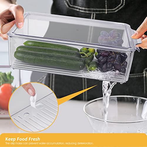 ZNM Refrigerator Organizer Bins, Stackable Fridge Organizer for Pantry Organization, Clear Plastic Storage Bins with Handle & Lid for Freezer, Kitchen, Countertops, Cabinets- BPA Free(Set of 9)