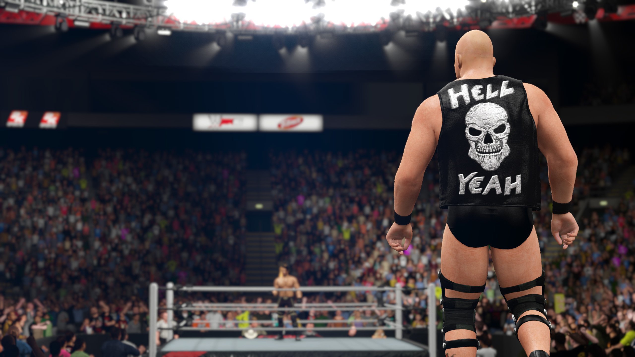 WWE 2K16 - PlayStation 3 (Renewed)