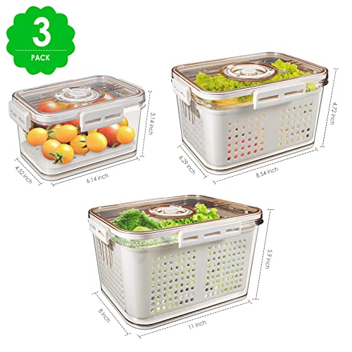 Vegetable Fruit Storage Containers for Fridge Organizer with Lid & Colander 3 Pack BPA-Free Produce Saver Containers for Lettuce Berry Stay Fresh,Lettuce Keeper for Fridge Organizers and Storage Clear