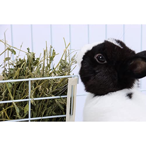 RUBYHOME Hay Feeder for Rabbits, Guinea Pigs, and Chinchillas - Minimize Waste and Mess with 9 1/4" x 3 3/4" x 8" Hanging Alfalfa and Timothy Hay Dispenser (White)