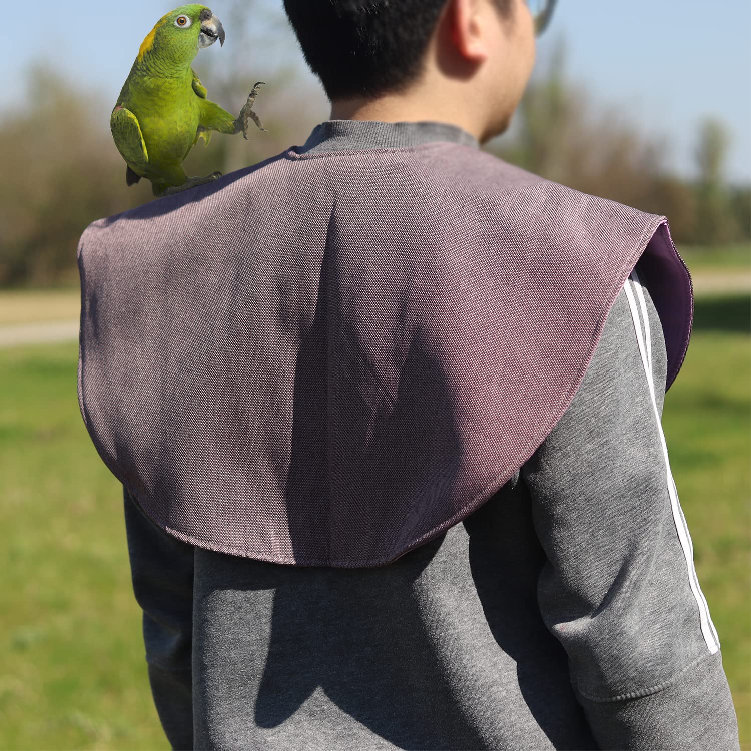 Parrot Anti-Scratch Shoulder and Arm Protector, Bird Diaper Durable Denim Parrot Training Pads for Parakeets Cockatiels Conures Macaws Lovebirds Finches, Anti-bite Protective Shawl Arm Guard