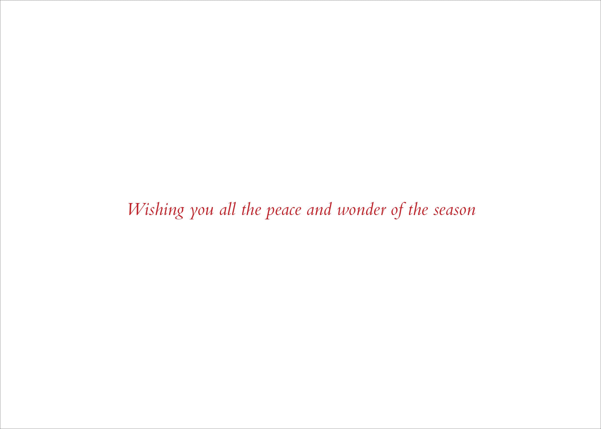Dog on Snowy Bench Deluxe Boxed Holiday Cards (Christmas Cards, Greeting Cards)