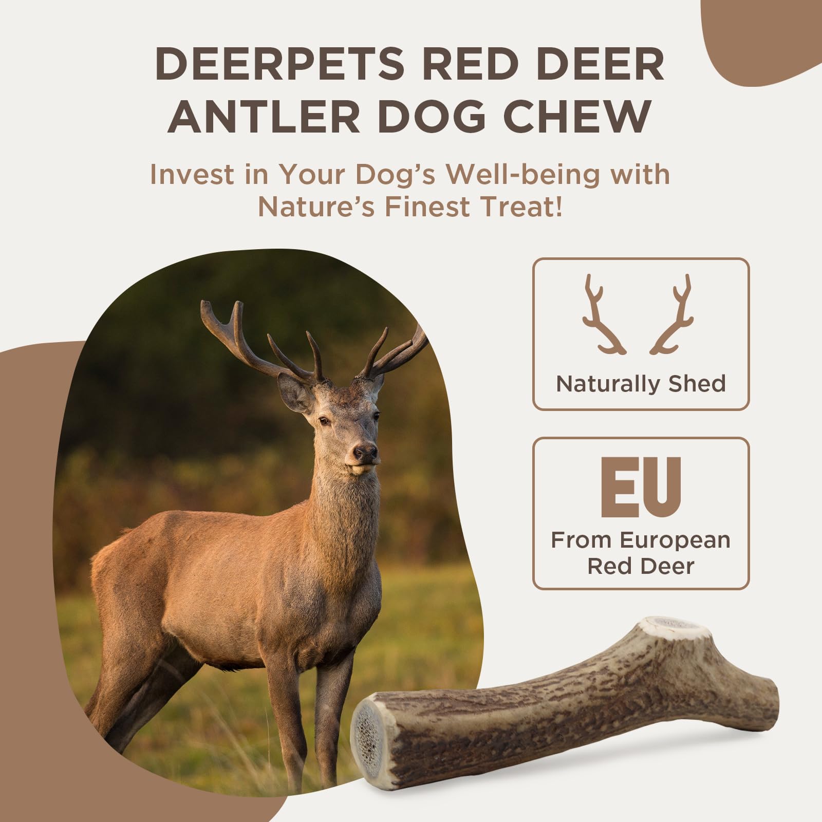 Premium Deer Antlers for Dogs β Natural Dental Chew for Aggressive Chewers β Long-Lasting Antler Chews, Odor-Free, Mess-Free, 1 Count (Medium)