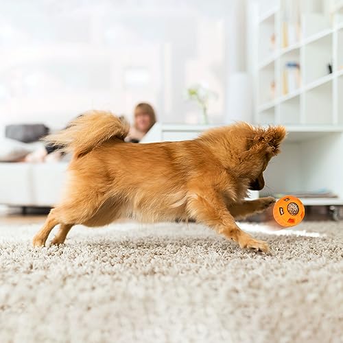 Dog Toys