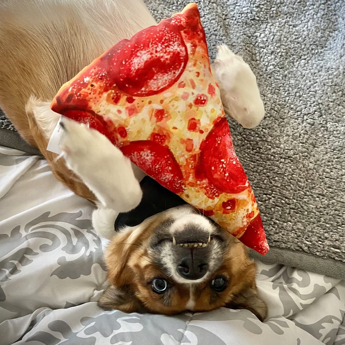 Doggijuana | Refillable Catnip Dog Toy | Naturally Calming | Catnip Grown in The USA (Pizza)