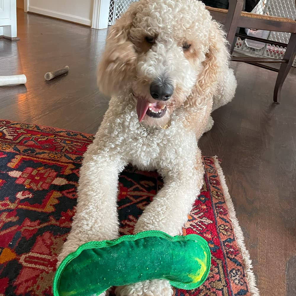Doggijuana Bundle - Interactive Dog Toy with Juananip Refill - Includes Refillable Durable Catnip Dog Toy & Organic Catnip Refill for Natural Calming - Engaging and Relaxing Pet Play (Pickle)