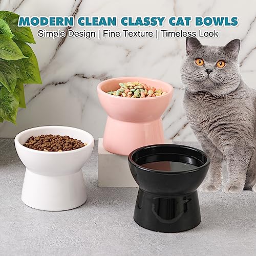 LIONWEI LIONWELI Ceramic Cat Feeder Bowl, Premium Pet Feeder, Extra Large 550 ML, Whisker Friendly, Microwave and Dishwasher Safe, 6.1 inch x 6.1 inch x 5.1 inch