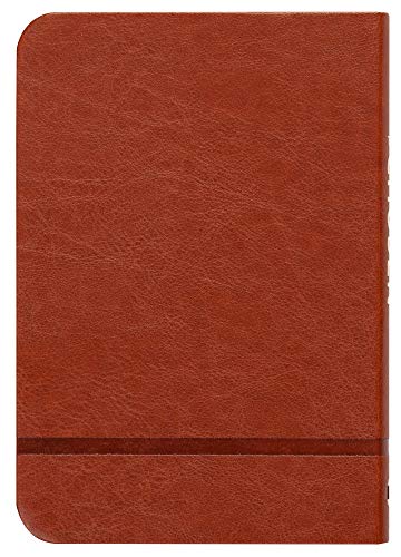 The Chosen: 40 Days with Jesus (Imitation Leather) β Impactful and Inspirational Devotional β Perfect Gift for Confirmation, Holidays, and More