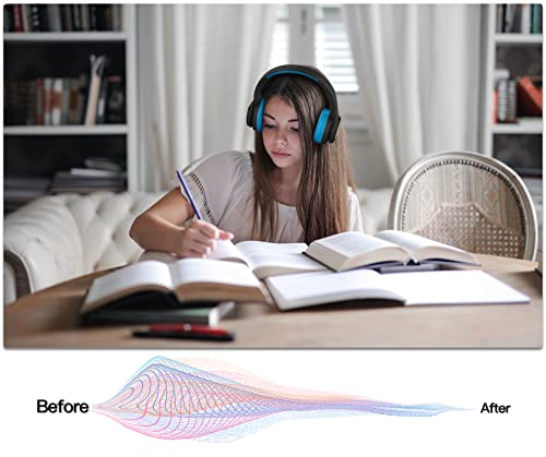 LORELEI E7 Kids Headphones with Microphone, Safe Volume Limiter 85/94dB, Foldable Stereo Tangle-Free On-Ear Wired Headphones for Toddlers/Boys/Girls/School/iPad/Laptop/Travel (Black&Blue)