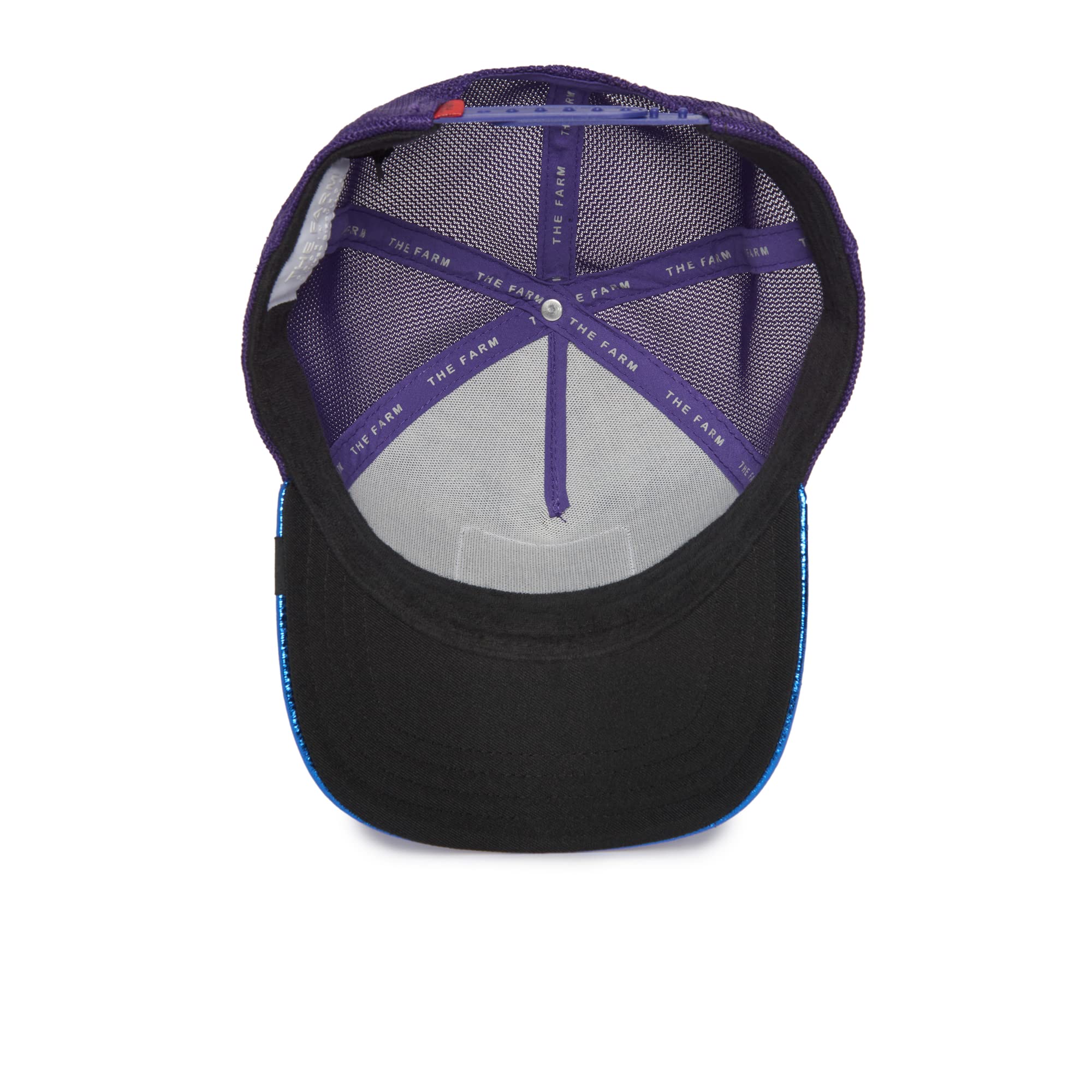 Goorin Bros. The Farm Mesh Capsule Unisex Adjustable Trucker Cap, Blue, One Size