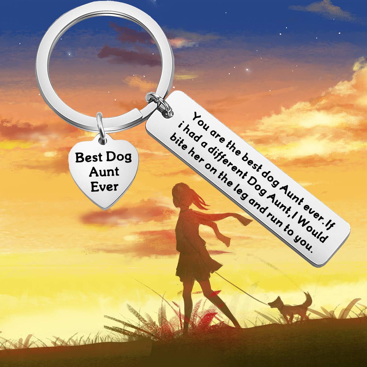 ENSIANTH Dog Aunt Gift Best Dog Aunt Ever Keychain Special Aunt Gift Dog Lover Gift (Dog Aunt Keychain)