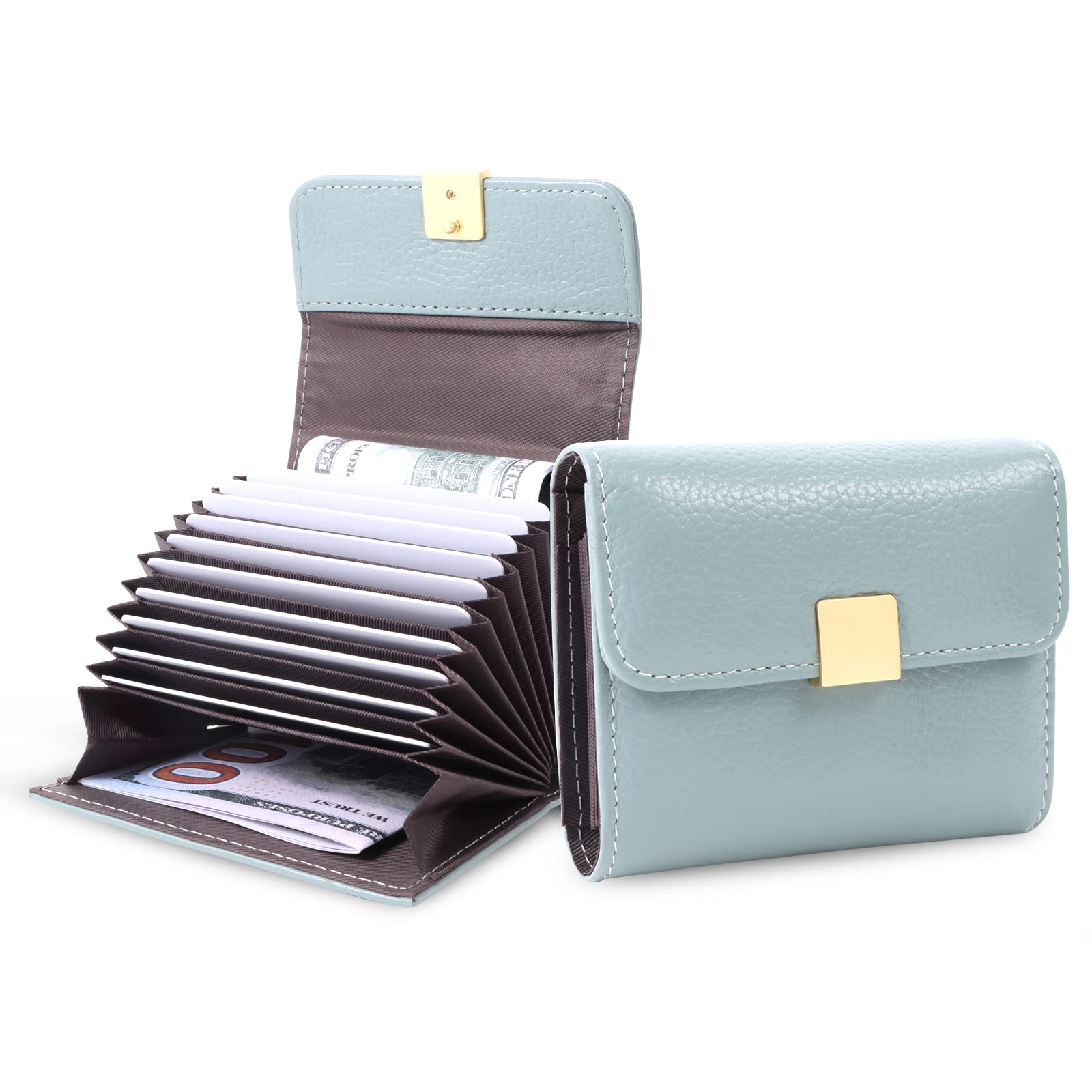 EXT-FAN Credit Card Holders RFID Small Wallet for Women Envelope System Purse Compact Card Cases & Money Organizers (Aqua Blue)