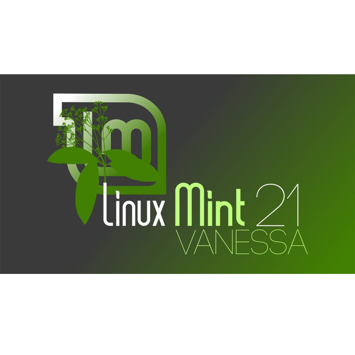 Linux Mint Cinnamon 21 Operating System Install Bootable Boot Recovery Live 16 GB Credit Bank Card USB Flash Drive | Pen Drive Memory Stick - from Freedom Came Elegance