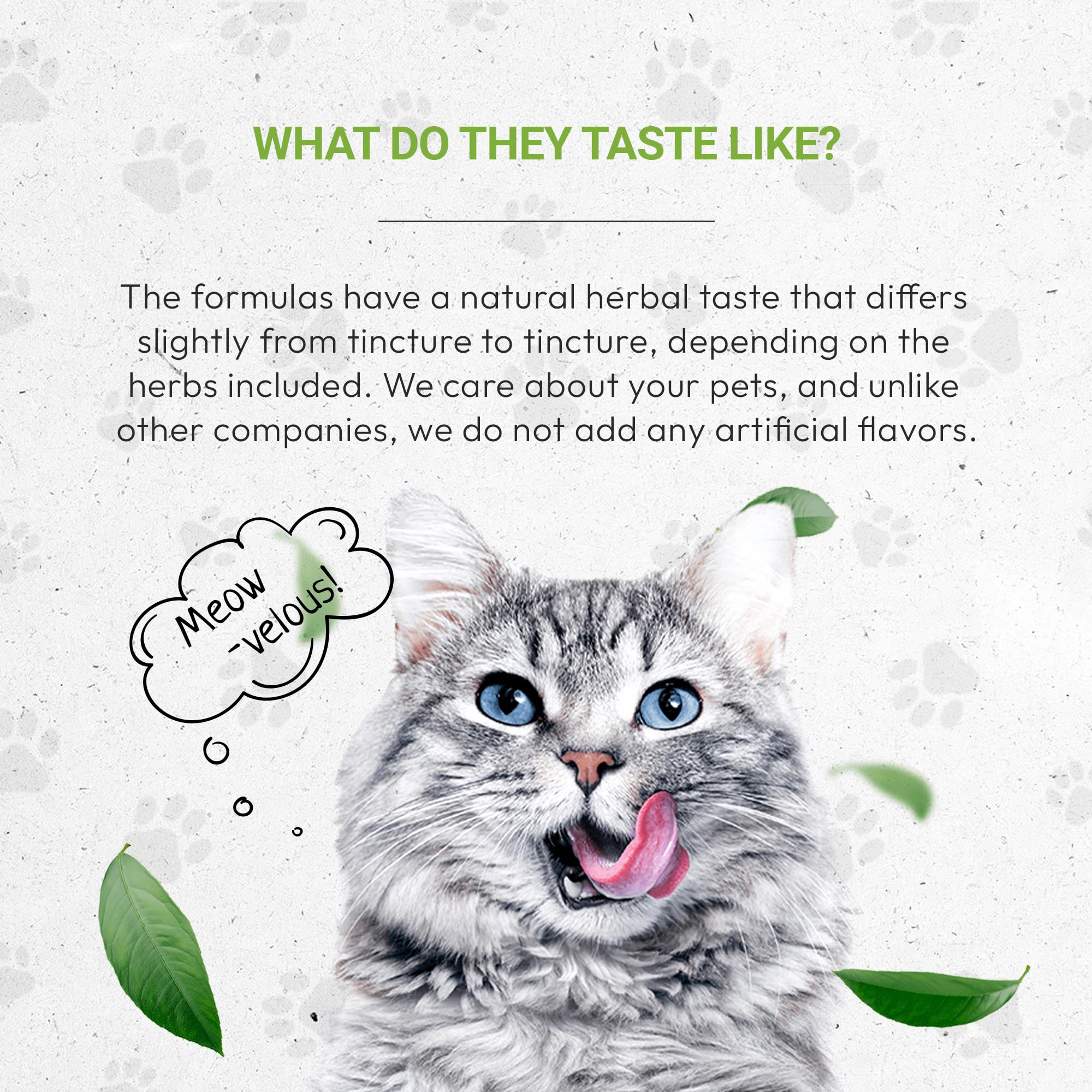 Lion's Kidney | Natural Herbal Dietary Supplement for Cats | Healthy Kidney Function Support in Cats | Alcohol-Free Extract, Rehmannia, Dandelion Leaf, Burdock, Marshmallow, Dong Quai 2 oz