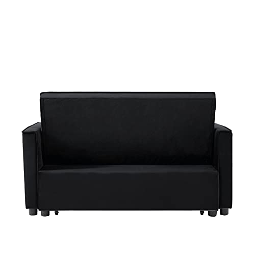 ERYE Black Velvet 2 Pillows